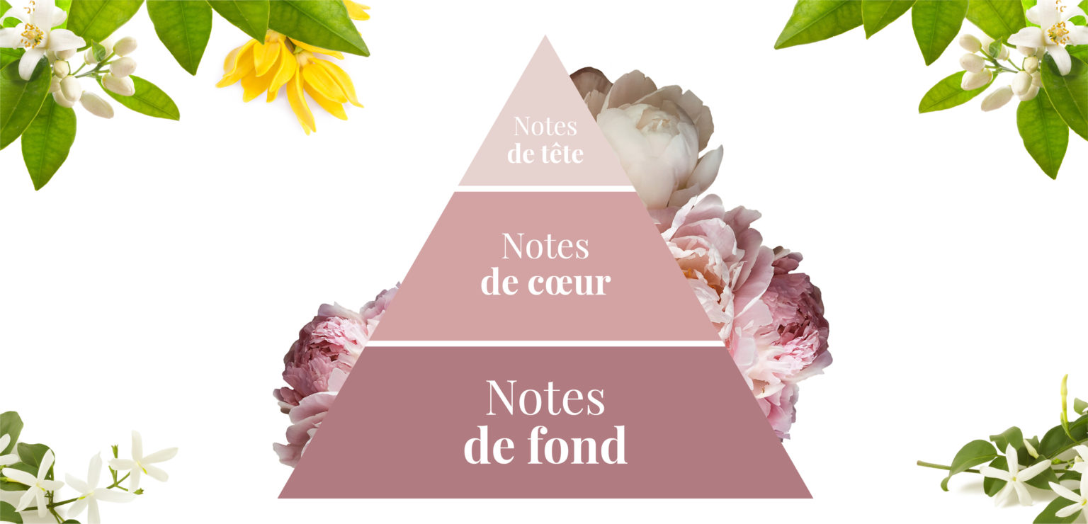 Qu'est-ce que la pyramide olfactive ? - Le Blog de Galimard